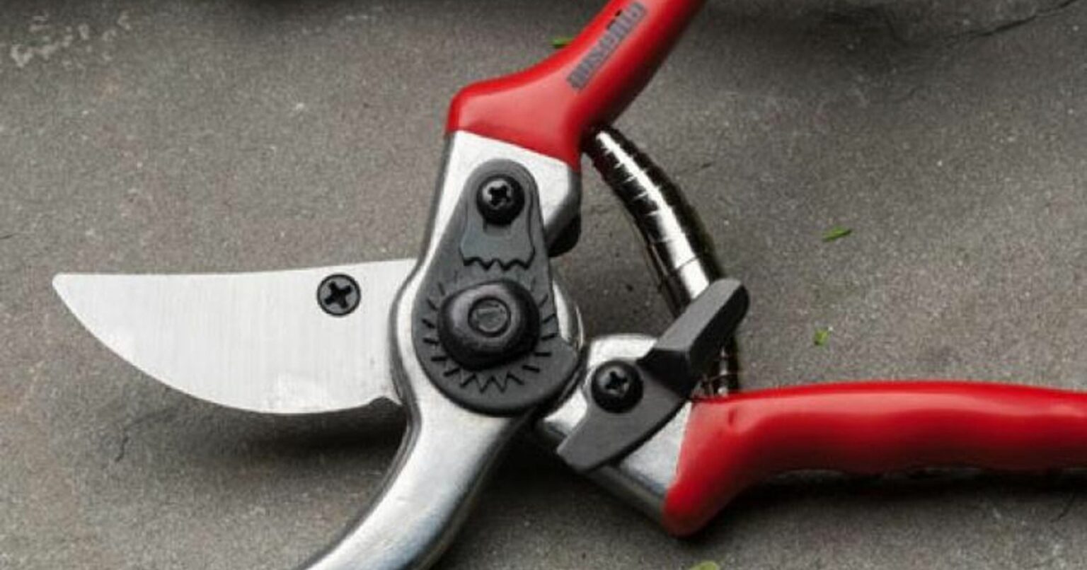 Swimming Routines For Older Adults