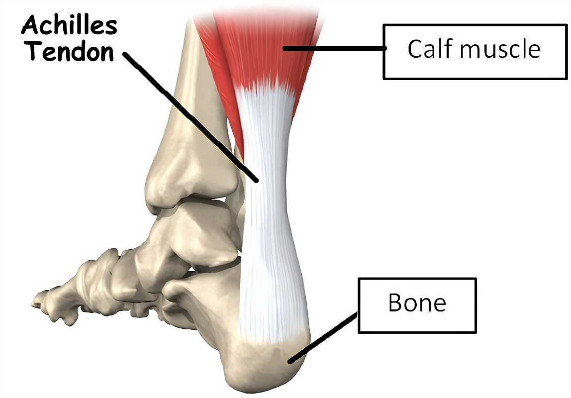 5 Secrets Of Physical Exercise | Elderly Independence